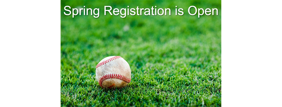 Home [www.eastcherokeebaseball.com]